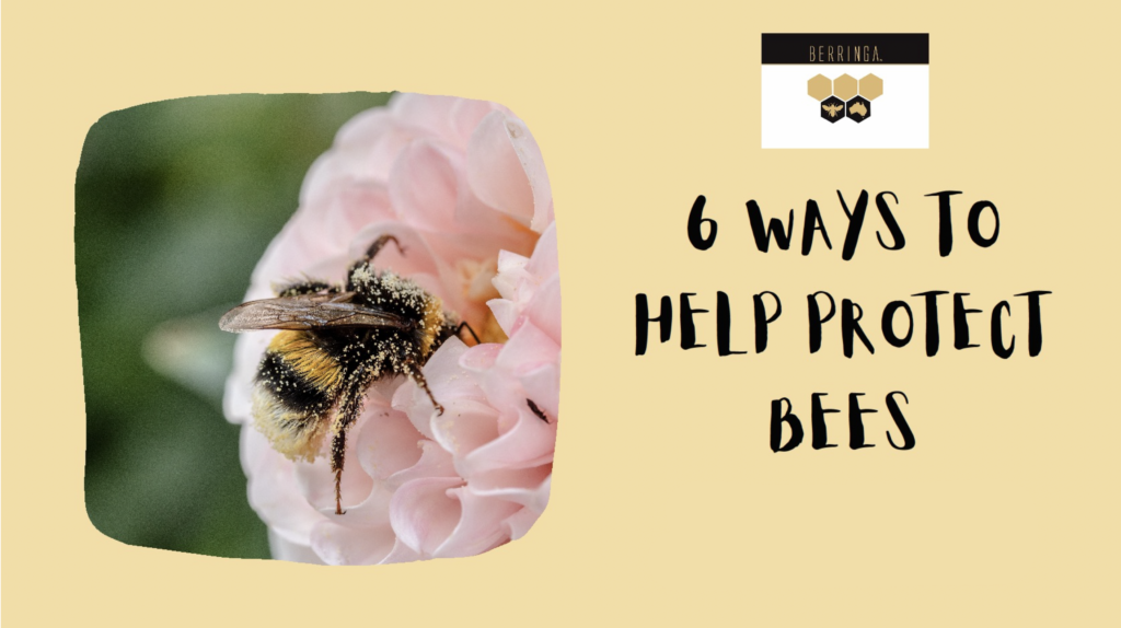 6 Ways to Help Protect Bees - Berringa
